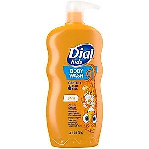 Dial Kids Body Wash, Citrus, 24 fl oz (Pack of 4)