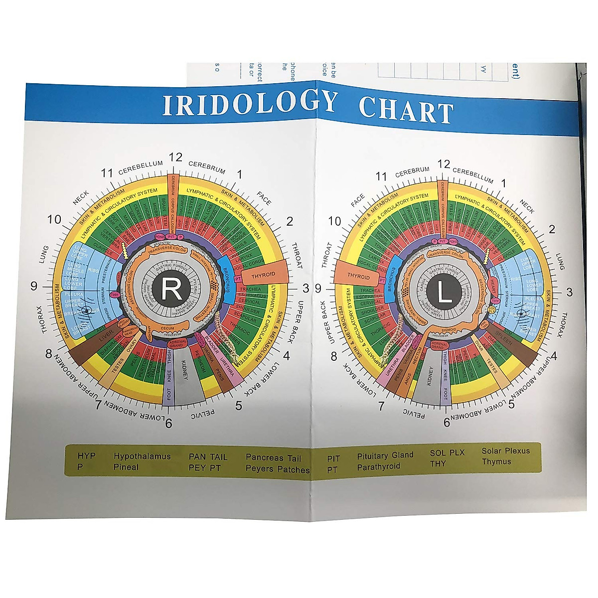 Iriscope Iridology Camera 5.0 MP LED Light Iris Analyser Iridoscope iriscopio