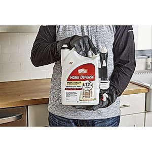 Ortho 0221710 Home Defense Insect Killer for Indoor & Perimeter2 Pull 'n Spray, 1.33 gal