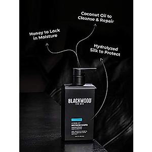 Blackwood For Men Hydroblast Moisturizing Shampoo - Shampoo for Coarse, Dry, & Curly Hair - Infused with Ginseng & Ginger - Natural Vegan Formula - Sulfate Free, Paraben Free, & Cruelty Free (8.92 Oz)