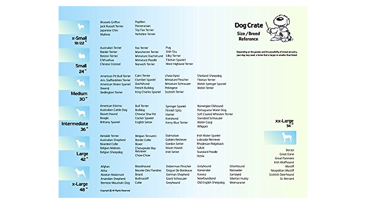 Buy Blue Hard-Sided Pet Carrier for Small Animals