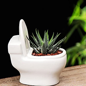 Plants Decor 2pcs Ceramic Toilet Plant Pot Succulent Planter Mini Flower Pots Bonsai Pot with Drainage Holes for Home Office Table Decoration Office Decor