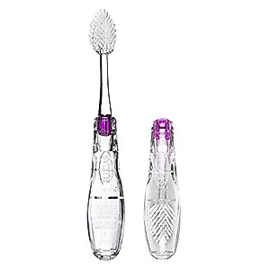 RADIUS Tour Travel Brush & Case with Replaceable Brush Head ADA Accepted Toothbrush Improve Gum Health - Purple - Pack of 1