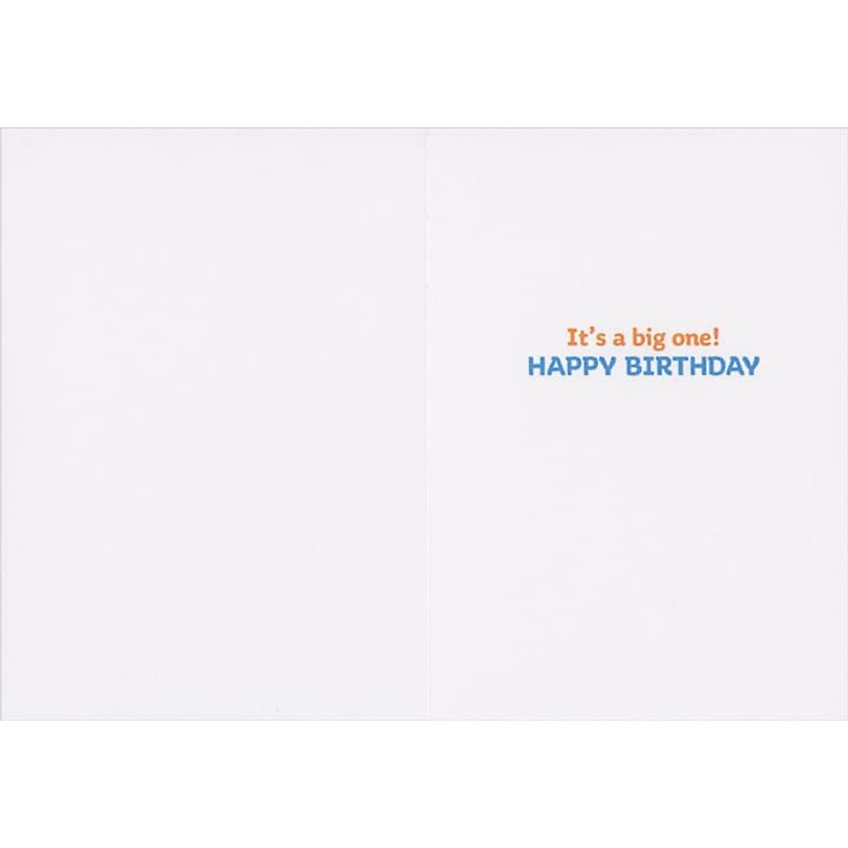 Avanti Press Bear Holding Toilet Plunger Over Blue Toilet Gross Funny/Humorous Birthday Card