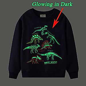 Toddler Boy Dinosaur Halloween Sweatshirts Dino Skeleton Glowing Shirts Long Sleeve T-Rex Bones Graphic Pullover Tops for Kids 3t/8154