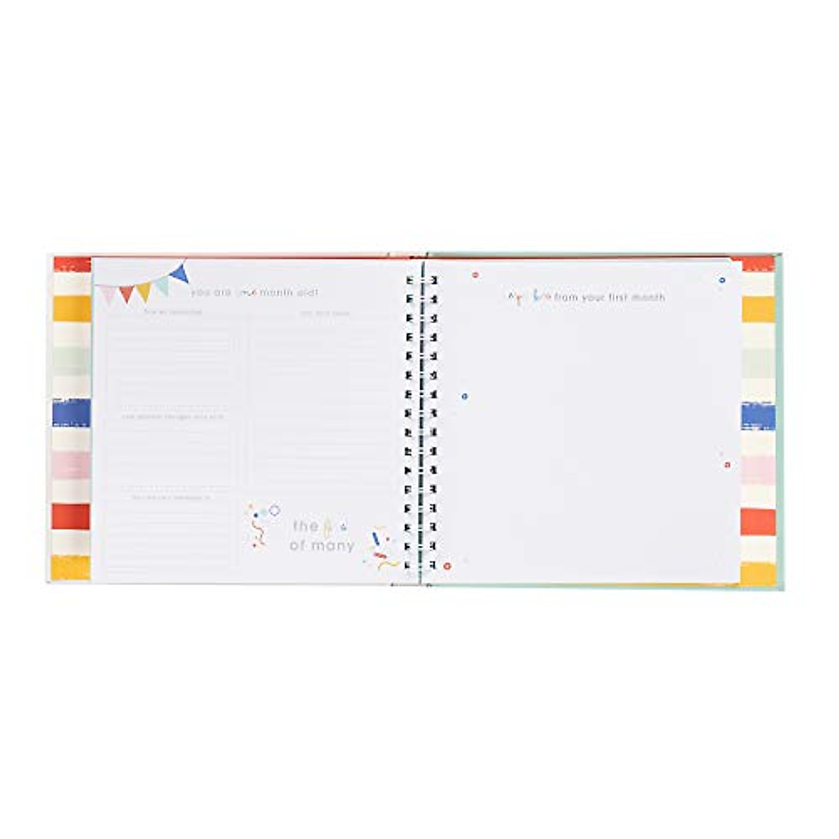 C.R. Gibson Rainbow ''A Book of Baby's Firsts'' Baby First Year Memory Book with Ink Pad, 36 Pages, 9.5'' x 9''