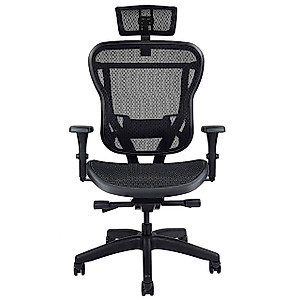 Oak Hollow Furniture Aloria Series Office Chair Ergonomic Executive Computer Chair Mesh Seat and Backrest, Adjustable and Comfortable, Lumbar Support Swivel and Tilt (Headrest, Black)