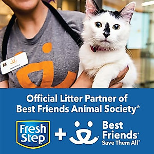 Fresh Step Clumping Cat Litter with Febreze Gain Scent, Long Lasting Odor Control Kitty Litter with Activated Charcoal, Low Dust Formula, 14 lb