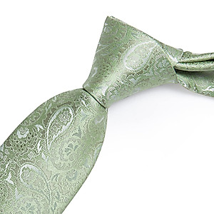 DiBanGu Men Light Green Floral Tie Sage Green Paisley Tie Pocket Square Set Silk Wedding Prom