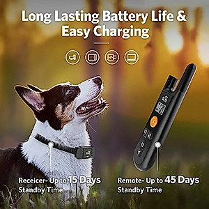DOG CARE Dog Training Collar for Large Medium Dogs - Dog Shock Collar with Remote, Dog Training Collar with Beep, Vibration, Static Modes, Keypad Lock, 0-99 Adjustable Shock Levels, Long Remote Range