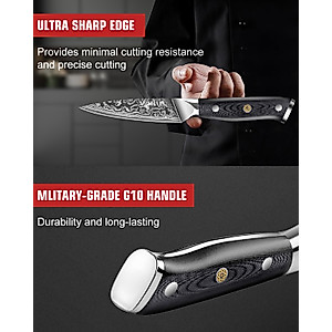 MOSFiATA Kitchen Knife ，Damascus paring Knife 3.5 inch Fruit Knife