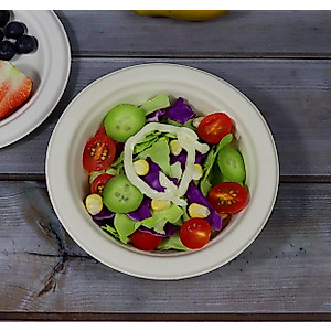 CantaGreen 12 OZ Compostable Bowls,100 Count Heavyduty Sugarcane/Bagasse and Bamboo Fibre Biodegradable Disposable Paper Bowls