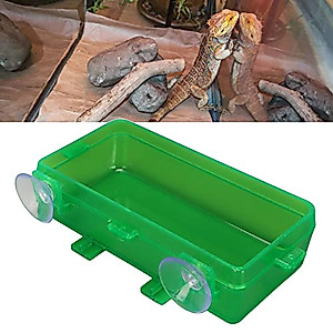 Reptile Feeding Food Water Bowl, Sturdy High Hardness Wall Mounted Green Removable Suction Cup Reptile Feeder Escape Proof for Bearded Dragon for Lizard (L)