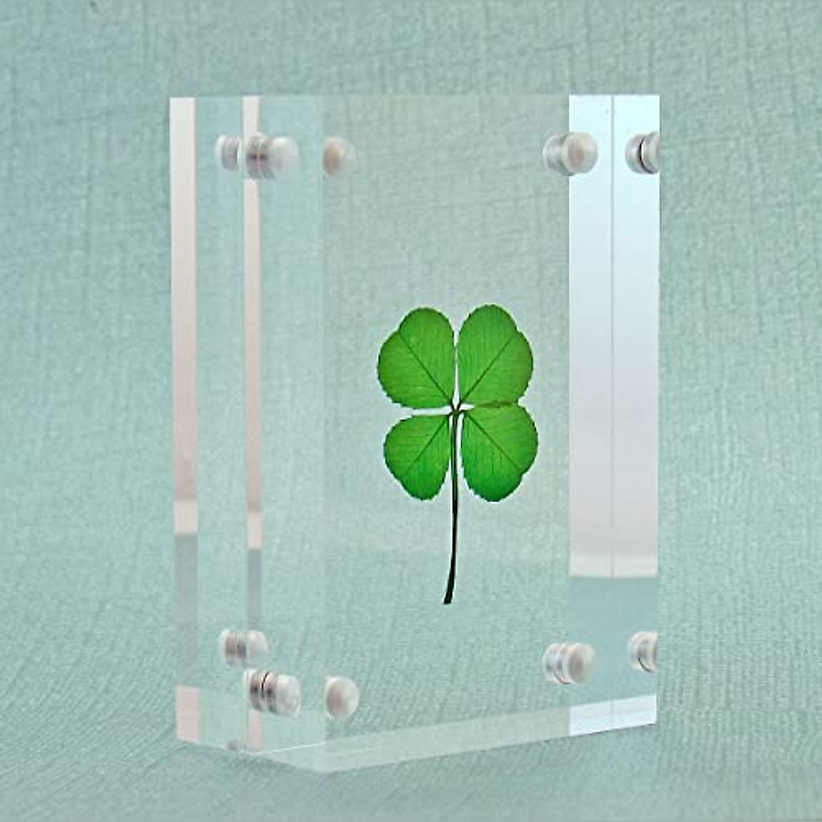 Clovers Online Genuine Preserved Four Leaf Clover Suspended in a Modern Minimalistic Clear Thick Acrylic Free Standing Block Frame for Tabletop or Desktop Decor