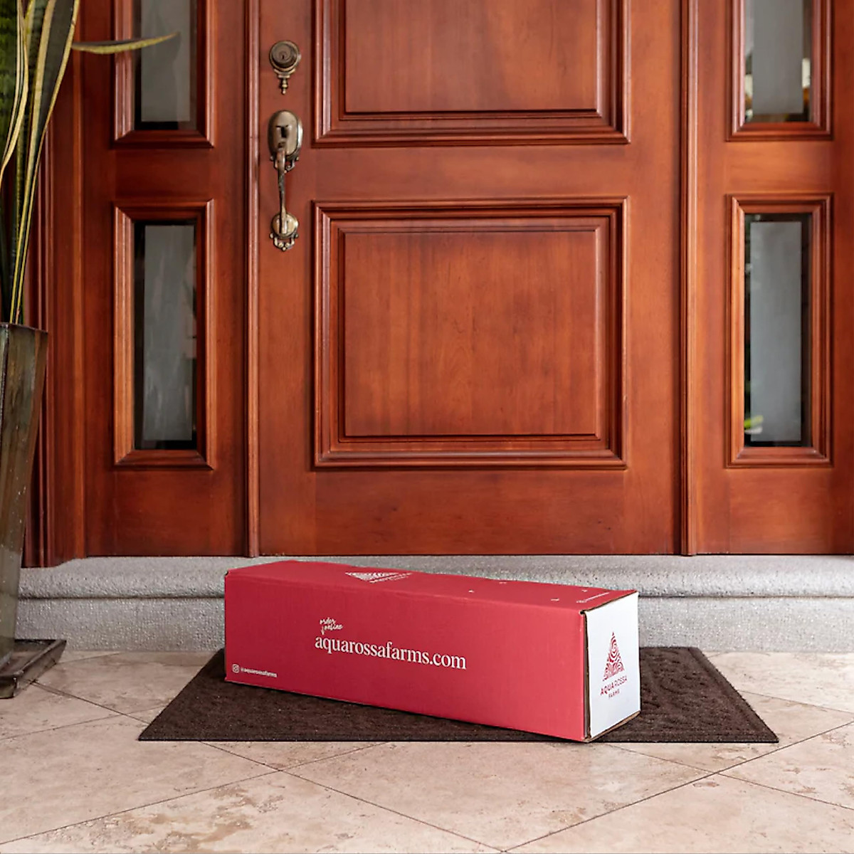 Fresh Flowers Delivery - Next-Day Delivery - 24 Roses Flowers - Fresh Bouquet for Delivery - Fresh Cut Long Stem Roses Bouquet of Flowers Birthday Gifts for Women - Aquarossa Farms