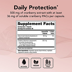 Theralogix TheraCran One Cranberry Capsules - 90-Day Supply - Cranberry Supplement for Men & Women - Cranberry Pills to Support Urinary Tract Health* - 36mg PACs per Capsule - NSF Certified - 90 Caps