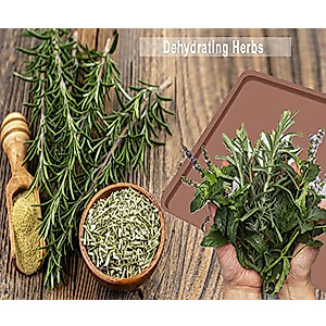 Zanup 3 Pcs Edge Silicone Dehydrator Sheets Mats for Liquids, Nonstick Fruit Leather Dehydrator Trays Compatible with Cosori CP267-FD, Reusable Silicone Trays for Baking Cooking Dehydrating Eggs Herbs