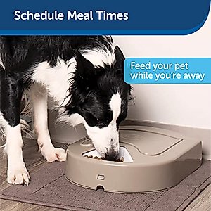 PetSafe 5 Meal Dog Food Dispenser - Storage for Up to 5 Cups of Kibble or Treats of Any Size - Tray Automatically Rotates According to User Programming to Deliver Pre-Planned Meals at Precise Times
