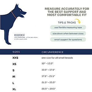 Balto Neck Eco E-Collar Alternative – Dog Recovery Collar – Padded Dog Cone - Pre/Post Surgery Helps Protect Wounds and Rashes- Body Only Protection (Medium)