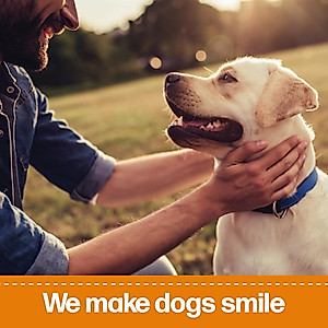 Fido Bones for Dogs, Dental Chews - 100 Delicious Mini Treats, Made in The USA - Mini Dog Dental Chews to Support Your Dog’s Health (Doozie Bone Peanut Flavor)