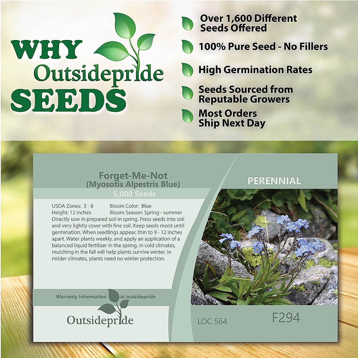 Outsidepride 5000 Seeds Perennial Myosotis Alpestris Forget-Me-Not Blue Garden Flower Seeds for Planting