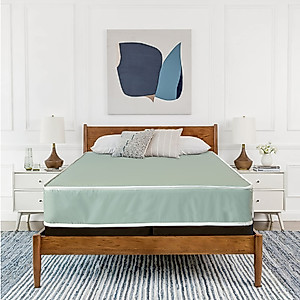 Treaton Pressure Relieving & Cooling High Density Foam Queen Mattress - 9-inch Water Proof Vinyl Medium Firm Tight Top Pocketed Coil Rolled Hybrid Mattres with 8” Wood Box Spring, Bed in Box, Green