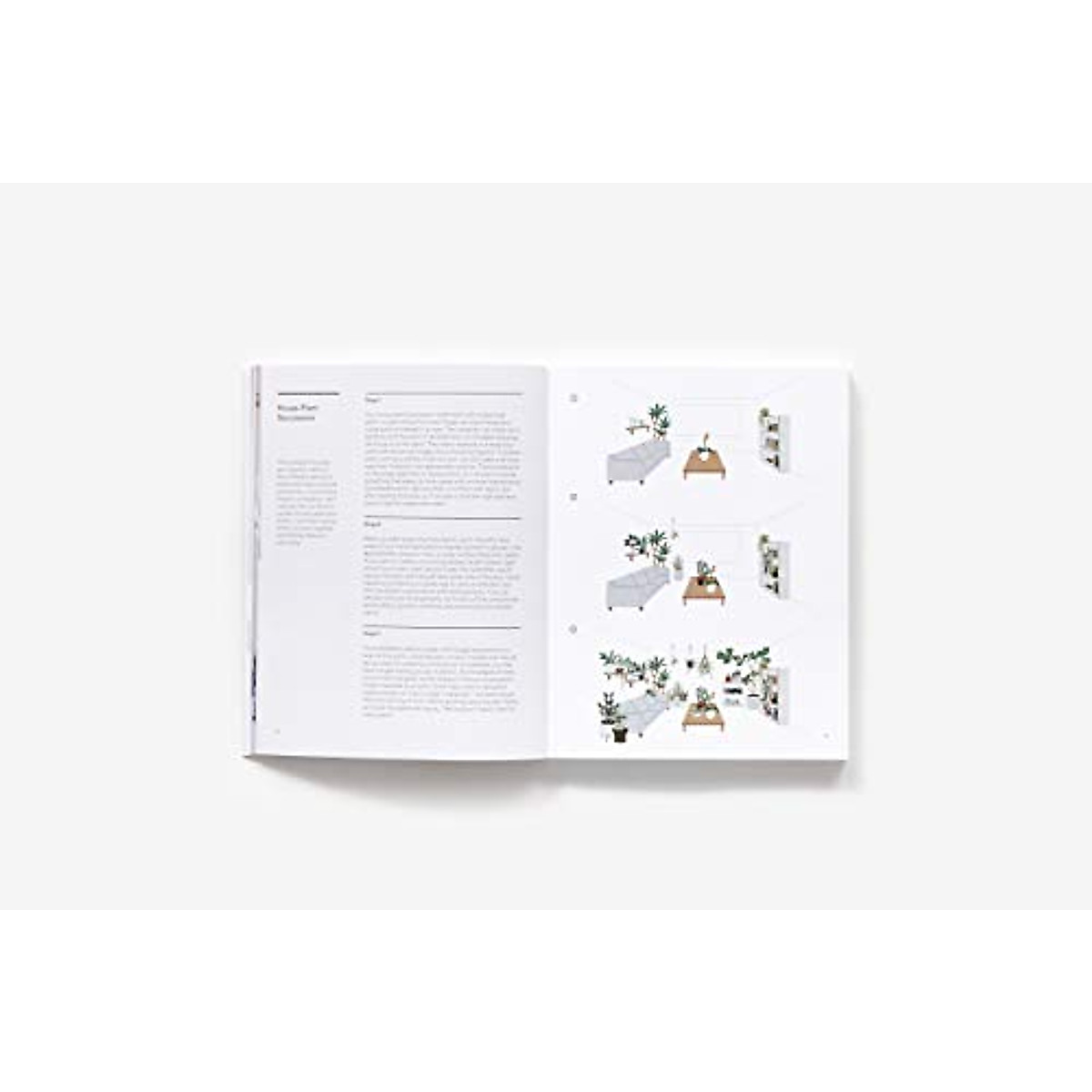 The New Plant Parent: Develop Your Green Thumb and Care for Your House-Plant Family