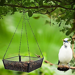 Hanging Bird Feeder Tray,Metal Mesh Hanging Food Tray Feeders, Seed Platform for Bird Feeders,Outdoor Garden Decoration for Wild Backyard Attracting Birds (1 Pack)