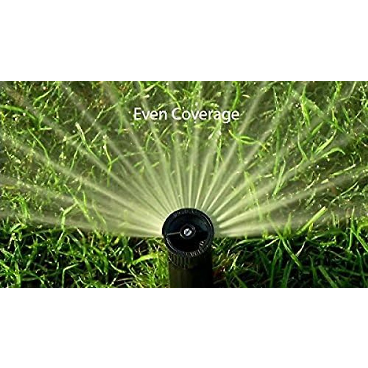 Rain Bird 1804 Spray Head with 15van Nozzle; 0° to 360° Adjustable; 15' Radius (Pack of 5)