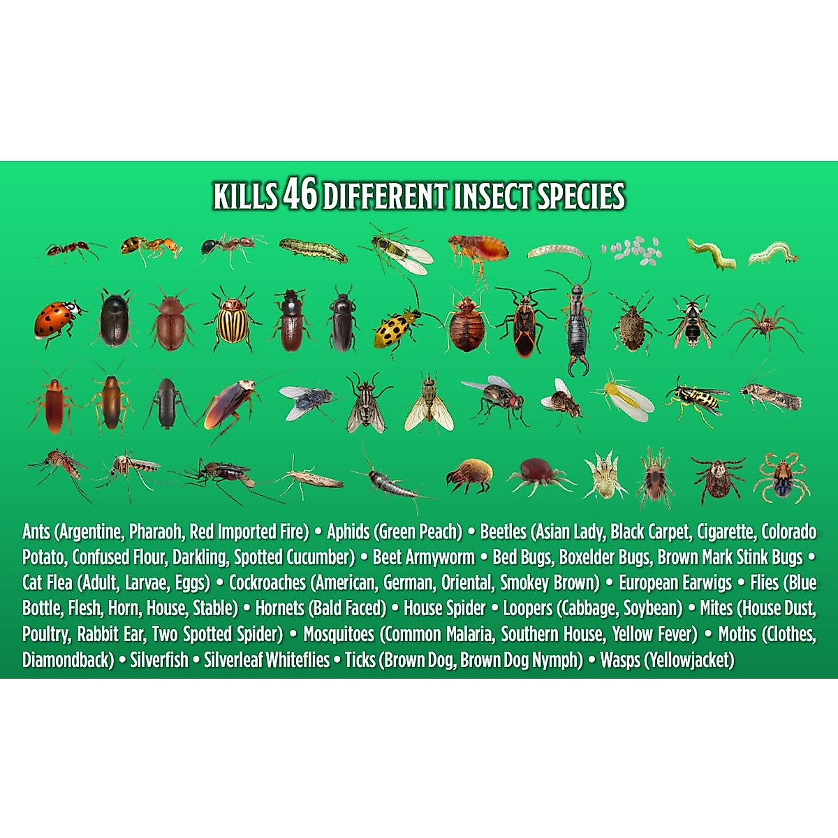 Grandpa Gus's Natural Advanced Pest Killer Concentrate, Bundled with a 32 oz Empty Spray Bottle, Plant-Based Actives Quick Kill 46 Insect Species, Indoor & Outdoor, Light Scent, 3.7 fl oz (Pack of 2)