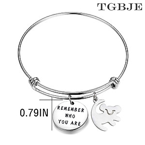 TGBJE Remember Who You Are Bracelet Inspired Bangle Lion King Gift for Friend (Lion King bangle)