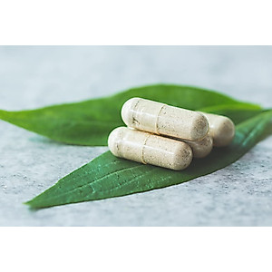 Antler Farms - 100% Pure New Zealand Bone & Marrow, 180 Capsules, 750mg - Grass Fed, Pasture Raised Whole Bone Extract, Cold Processed, Healthy Essential Fats, Stem Cells, Collagen, Calcium