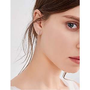 ANNBABIC Colorful CZ Butterfly Stud Earrings for Women - Cubic Zirconia Paved Butterfly Earrings - Butterfly Earrings Plated in RoseGold
