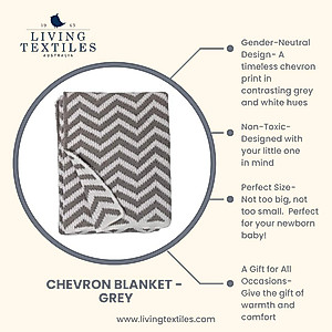 Living Textiles Chevron Chenille Soft Baby Blanket PREMIUM Cozy Fabric for BEST COMFORT - For Infant,Toddler,Newborn,Nursery,Boy,Girl,Unisex,Throw,Crib,Stroller,Gift, Grey Chevron 40x30