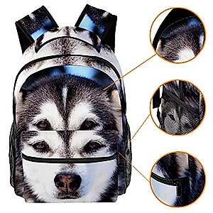 School Backpack Travel Backpack,Boy Girl Backpack,snow forest husky dogs,Outdoor Sports Rucksack Casual Daypack