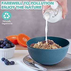 LIANGKEN Unbreakable Cereal Bowls 24 oz, Plastic Bowls Reusable Light Weight Bowl, Set of 6, Large Lightweight Bowls Made of Wheat Straw Fiber Ideal for Salad, Soup, Ramen, Noodles, Oatmeal