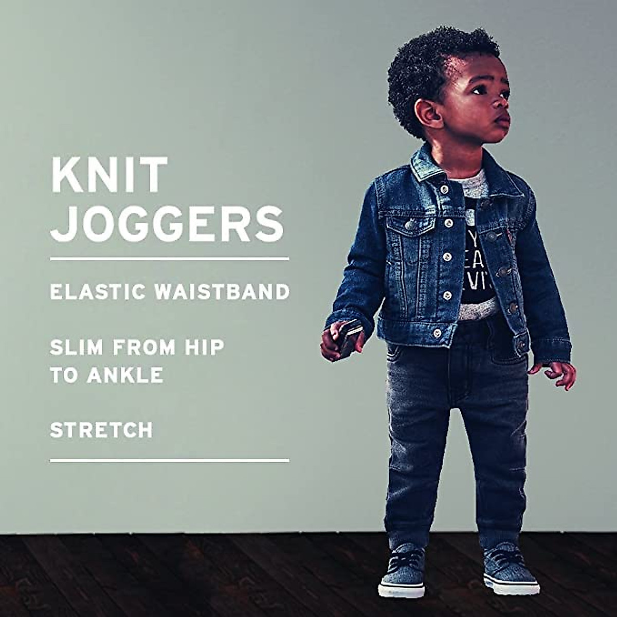 Levi's Baby Boys' Jogger Pants, Waverly, 9M