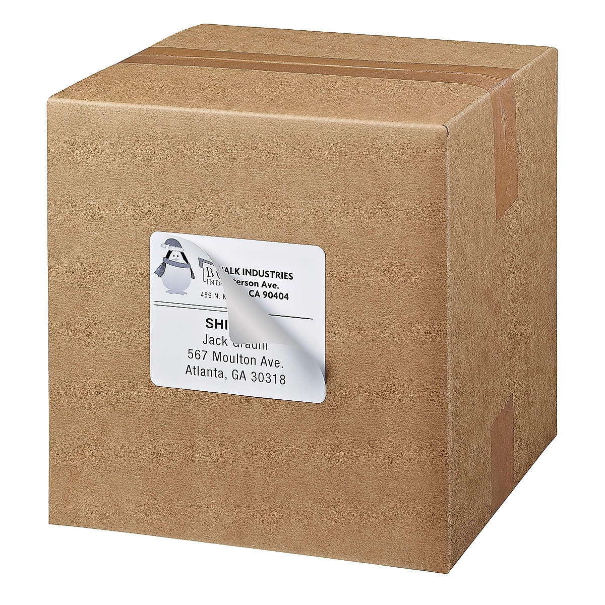 Avery 5164 TrueBlock Shipping Labels, Laser Print, 3-1/3 x 4, White, 600/Box