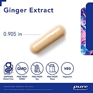 Pure Encapsulations Ginger Extract | Supplement to Support The Digestive, Musculoskeletal, and Cardiovascular Systems* | 120 Capsules