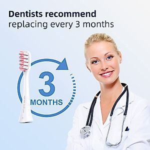 Hauke 3Pcs Hauke Electric Toothbrush Heads, Hauke Replacement Brush Heads for All Hauke Electric Toothbrushes, Dupont Bristles, One Pack with 3Pcs Inside(Blue)