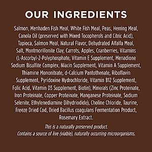 Instinct Original Grain Free Recipe with Real Salmon Natural Dry Cat Food, 4.5 lb. Bag