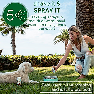 Siddha Remedies Abandonment & Separation for Pets | Natural Homeopathic Remedy for Dogs, Cats, and Animals | Naturally Helps Animals with Fears and Obsessive Behaviors | Supports Healthy Independence