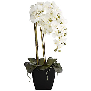 Dahlia Studios Potted Faux Artificial Flowers Arrangements Realistic White Phalaenopsis Orchid in Black Pot Home Decoration Living Room Office Bedroom Bathroom Kitchen Dining Room 25 1/2" High