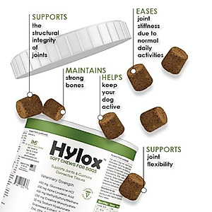 Pet Health Solutions Hylox Soft Chews for Dogs - Supports Joints & Cushions Connective Tissues - Glucosamine - Alpha Linolenic Acid - Creatine -120 Soft Chews