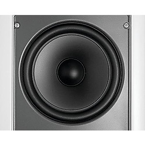 Polk Audio IW65 In-Wall Speaker, Moisture Resistant Design for Damp and Humid Indoor/Outdoor Placement - Bath, Kitchen, Covered Porches (White, Paintable-Grille)