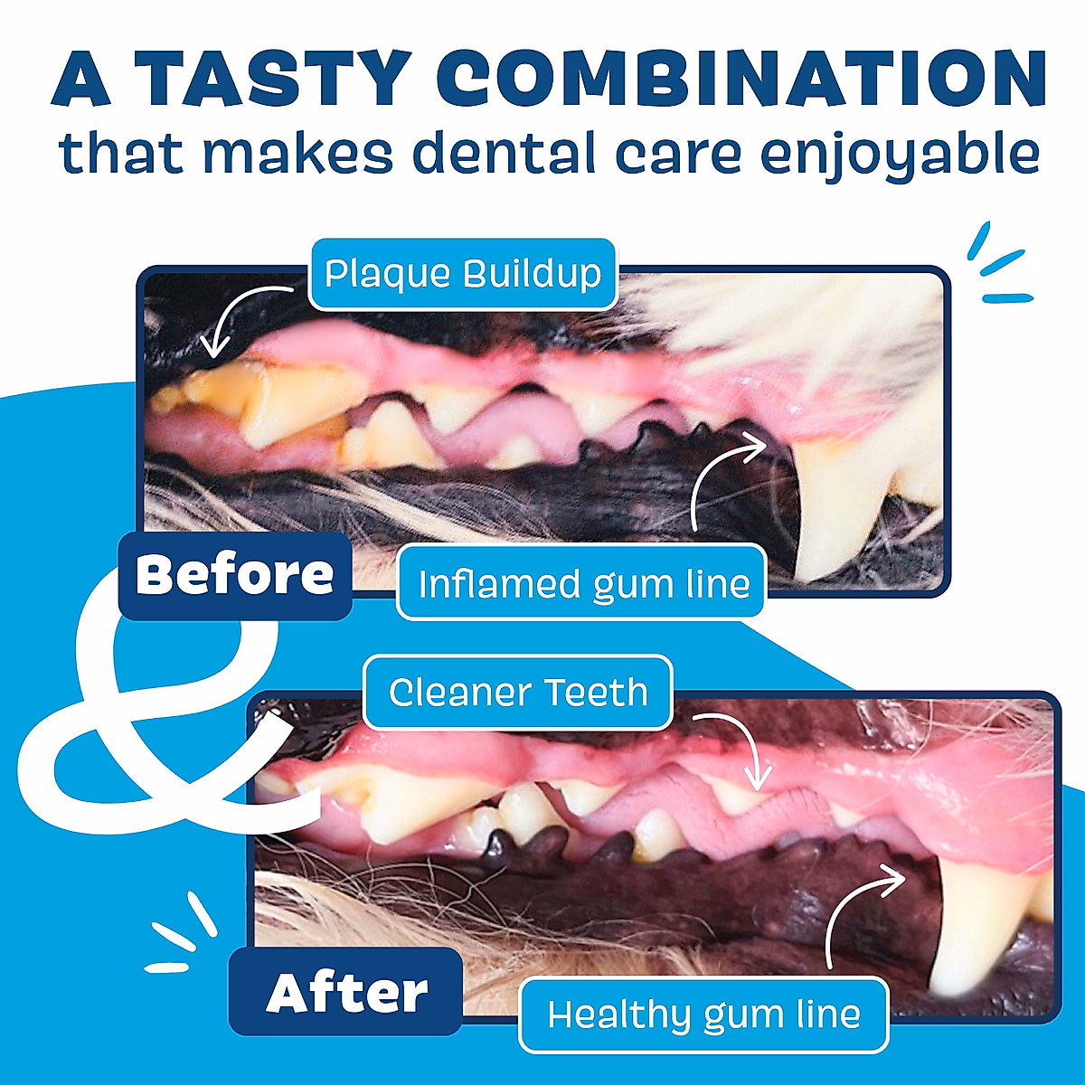 Bark Bright Original Dog Dental Kit - 30 Teeth Cleaning Chew Sticks & Toothpaste - Small Breeds