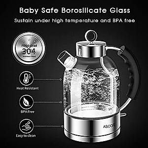 ASCOT Electric Kettle, 100% BPA-Free Glass Electric Tea Kettle, 1.6L 1500W Retro Tea Heater & Hot Water Boiler, No Plastic, with Auto Shut-Off and Boil-Dry Protection (Silver)