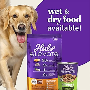 HALO Elevate Dry Dog Food, Healthy Grains Chicken Recipe, 3.5lb