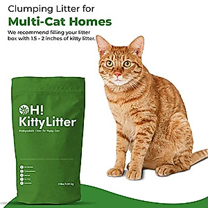 Oley Hemp Cat Litter - 4 Pounds