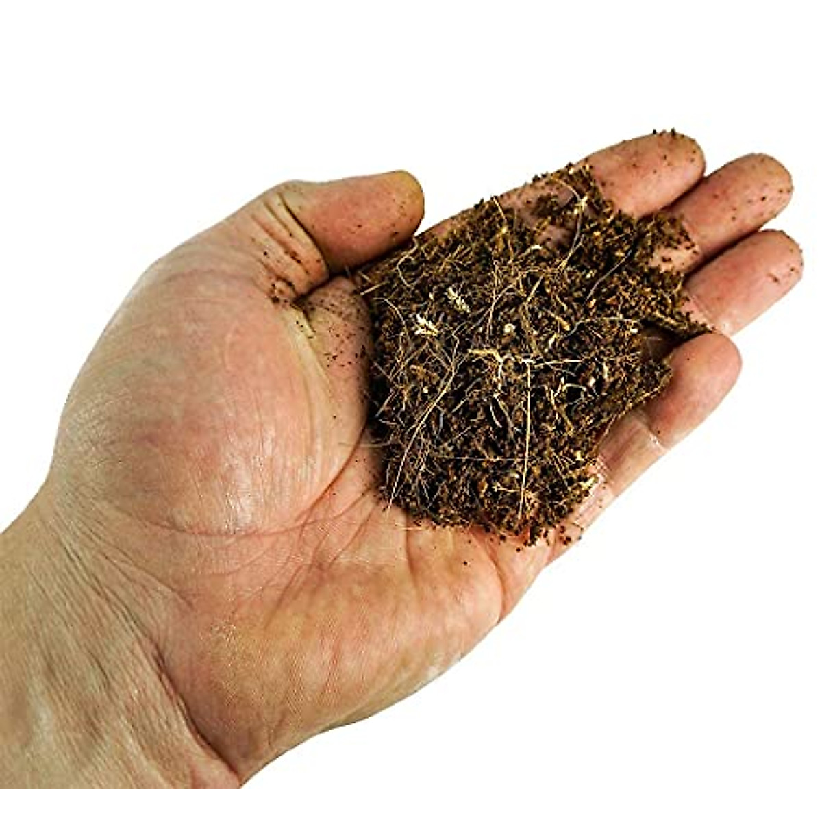 Josh's Frogs Microfauna Culturing Bundle (Food and Substrate)